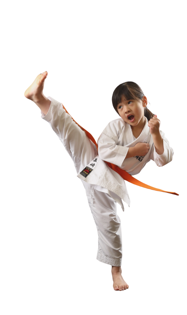 Thank You Guest - Promar Karate